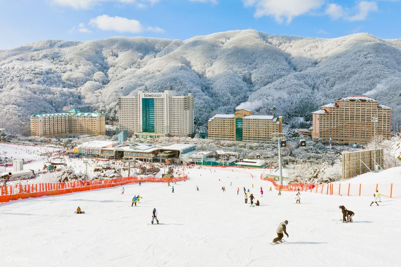 Daemyung Vivaldi Park Ski World Day Trip from Seoul (S.A. Tour) - Klook ...